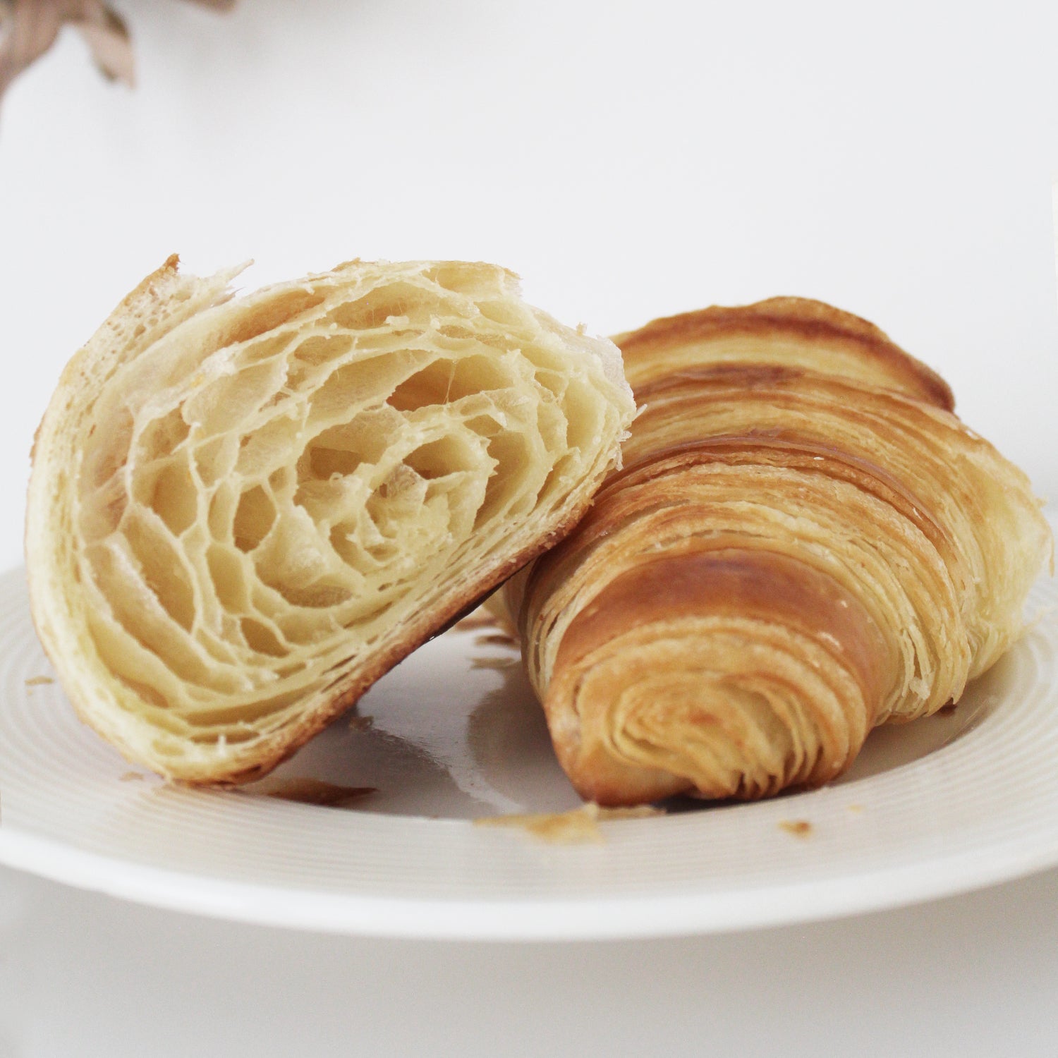 Croissants – Japan Kneader Online Store
